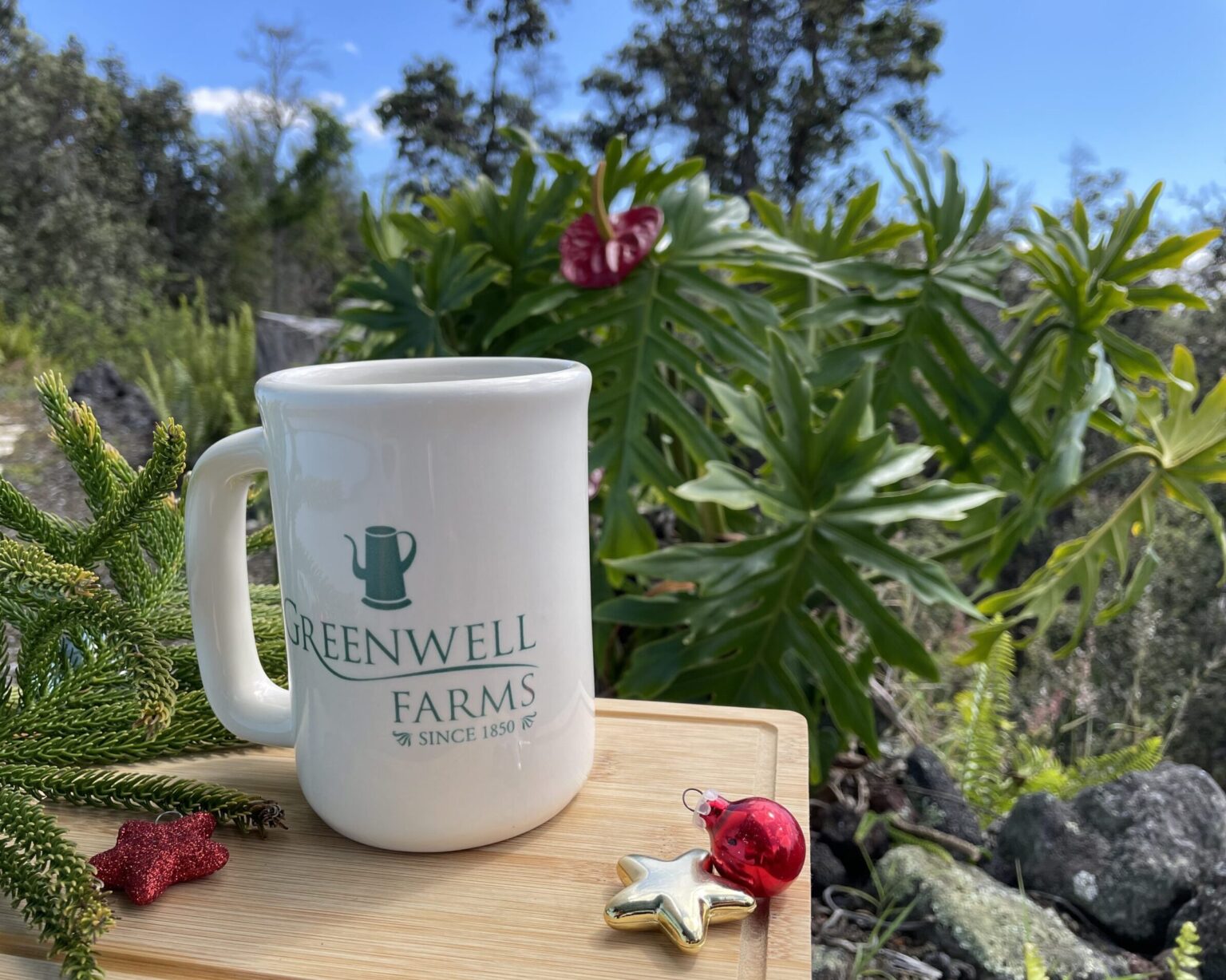 Impress Your Guests with 100% Kona Coffee | Greenwell Farms
